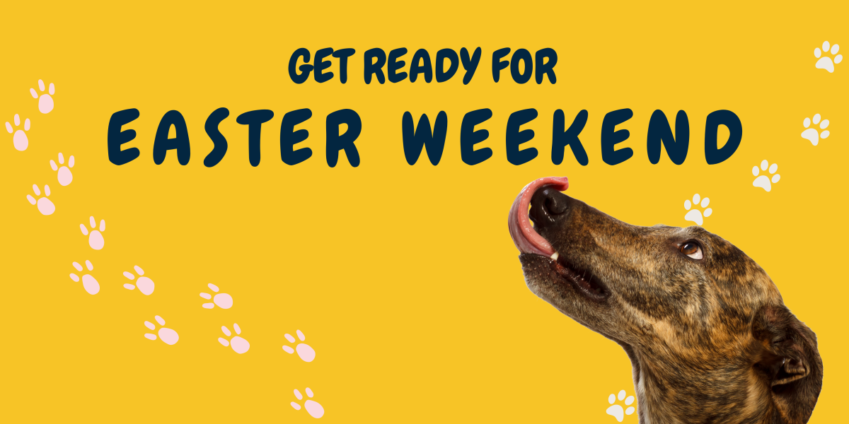 Happy Easter! | Greyhounds as Pets